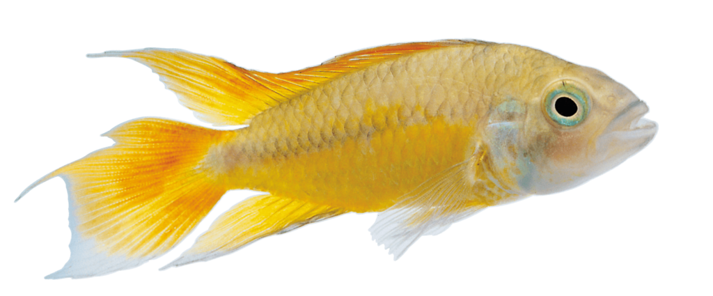 Visitor’s Info | Qian Hu