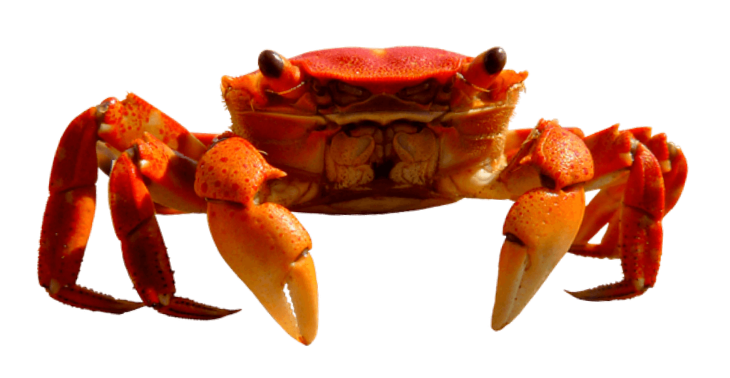 Visitor’s Info | Qian Hu