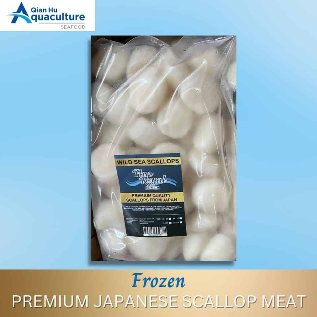 FROZEN PREMIUM JAPANESE SCALLOP MEAT 1KG | Qian Hu